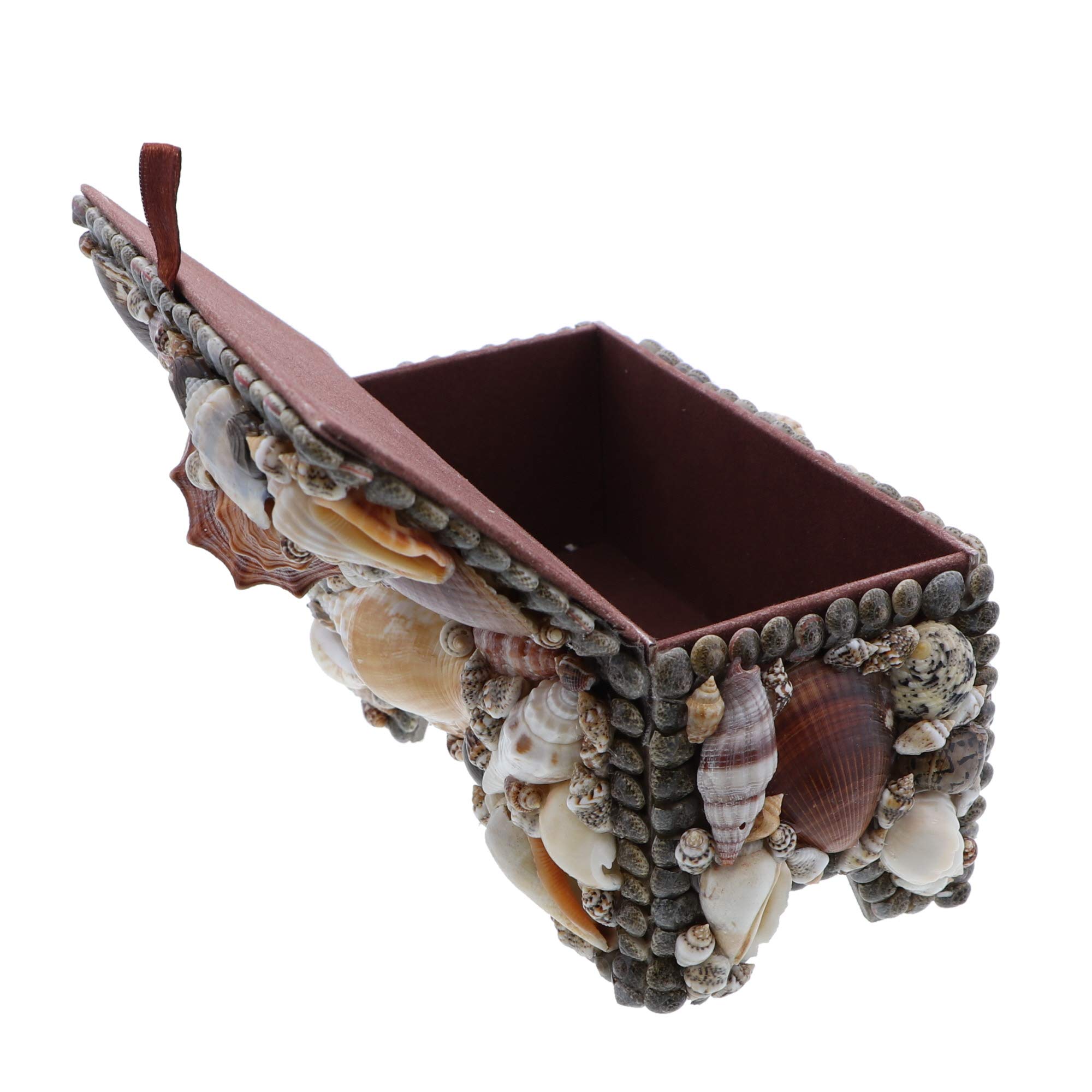 Li'Shay Treasure Box Trinket Jewelry Box with Mixed Seashells with Feet