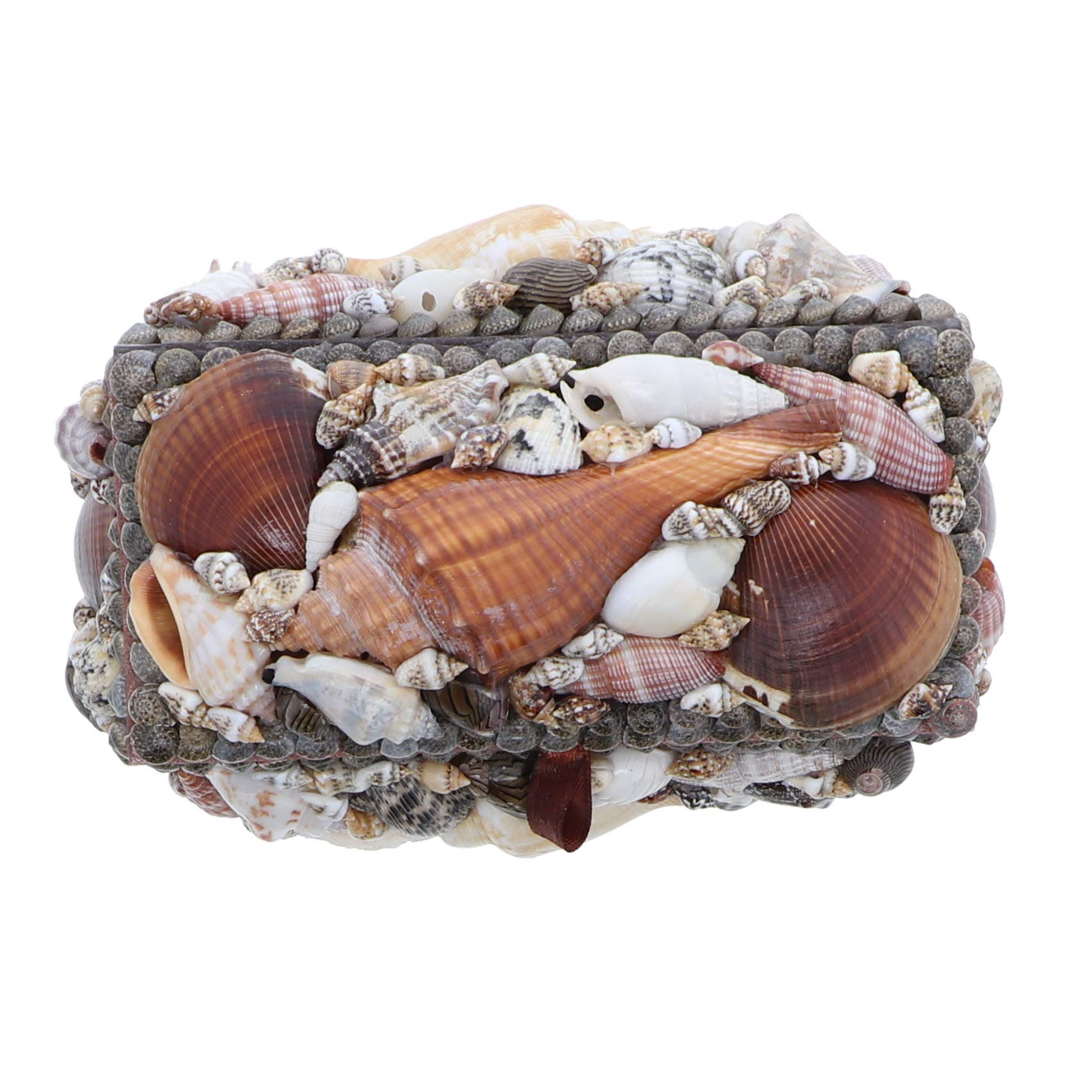 Li'Shay Treasure Box Trinket Jewelry Box with Mixed Seashells with Feet