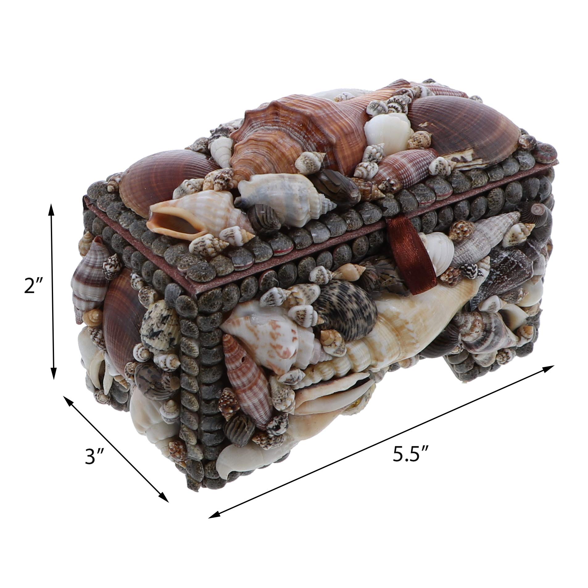 Li'Shay Treasure Box Trinket Jewelry Box with Mixed Seashells with Feet