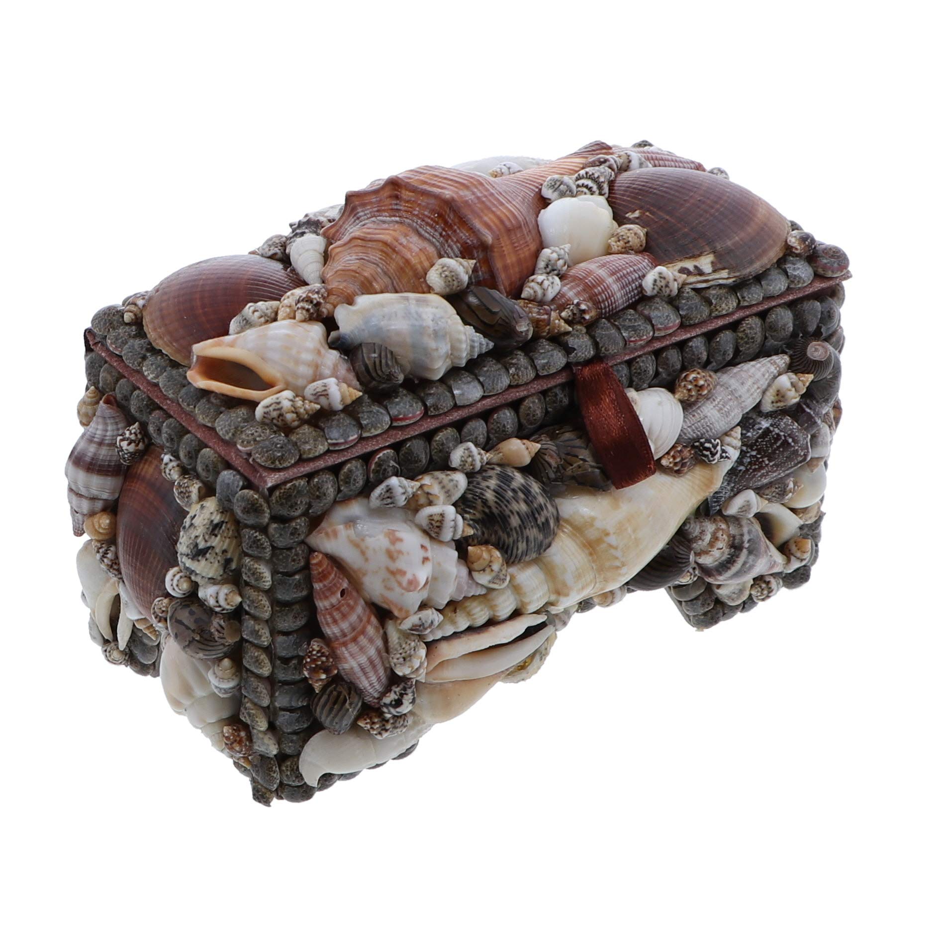 Li'Shay Treasure Box Trinket Jewelry Box with Mixed Seashells with Feet