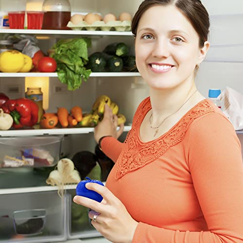 Bluapple Produce Saver 2-Pack - Keeps Fruits & Vegetables Fresh Longer in Refrigerator Crisper, Shelves, and Fruit Bowls, Lasts up to 3 Months, Ethylene Gas Absorber, BPA Free, Made in USA