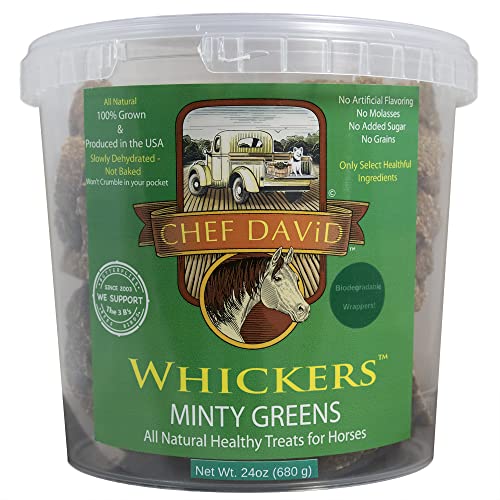 Front Porch Pets - Chef David Horse Treats Healthy Real Food Horse Treats, No Added Sugar, No Artificial Flavors, Stall Treats for Horses, Made in The USA - Whickers Minty Greens, 24oz
