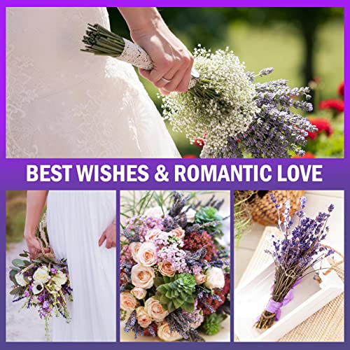 Timoo Dried Lavender Bundles 100% Natural Dried Lavender Flowers for Home Decoration, Photo Props, Home Fragrance, 2 Bundles Pack