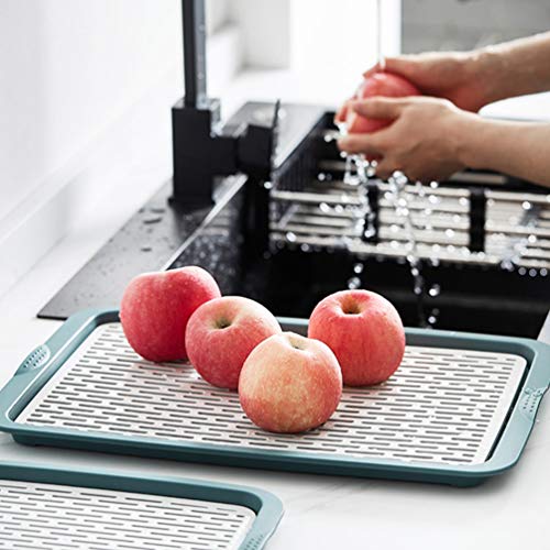 HEMOTON Food Drain Tray Japanese Style Drinks Dishes Utensil Drainboard Drying Plate Plastic Drip Holder Storage Rack for Home Kitchen 29X19. 7CM