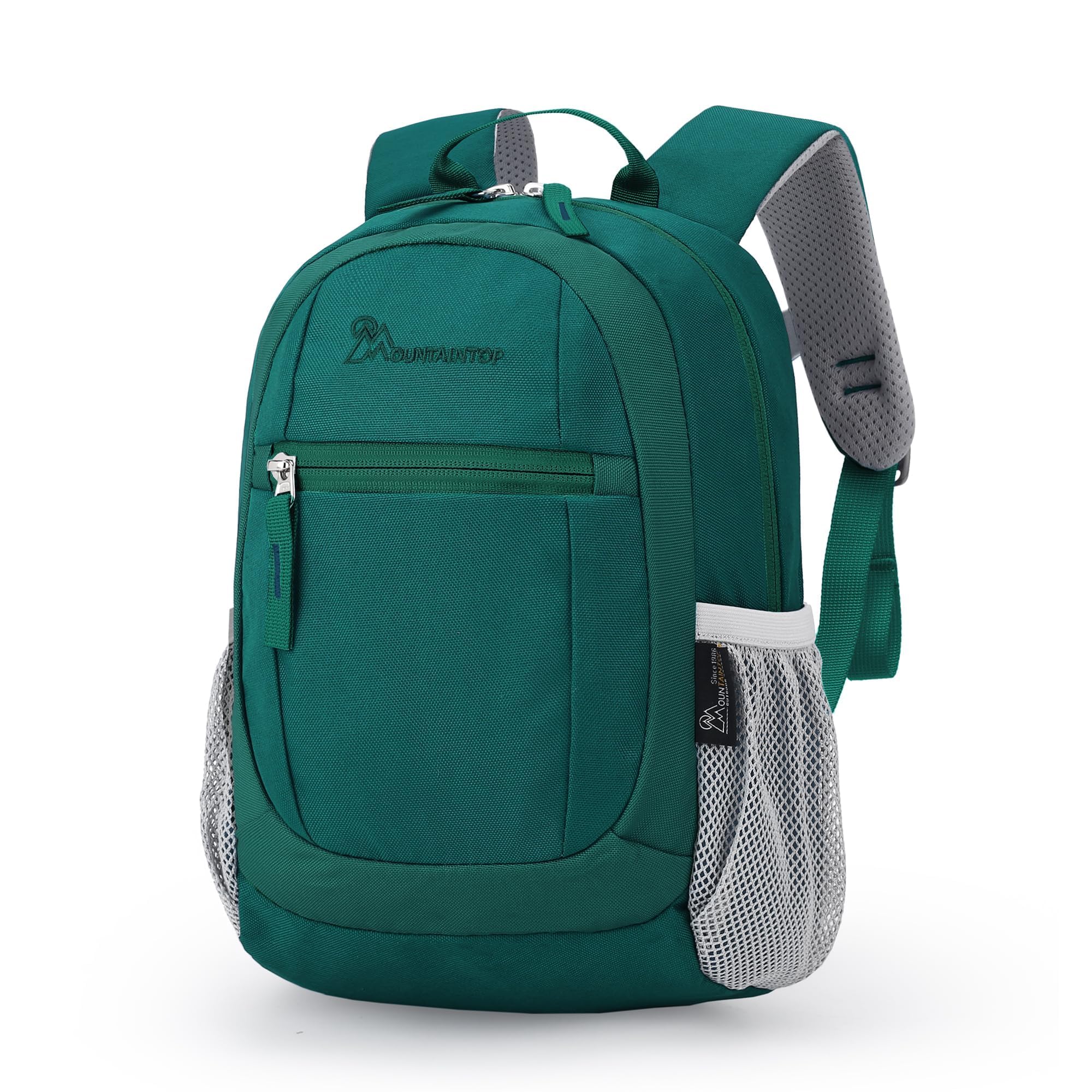 MOUNTAINTOP Kids Toddler Backpack for Boys Girls Preschool Kindergarten Bag