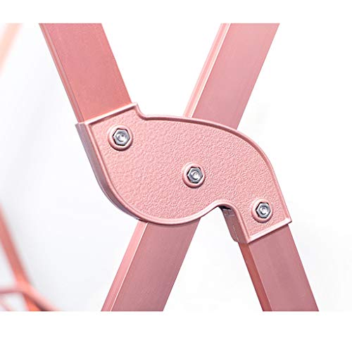 Drying Rack Floor Folding Indoor and Outdoor Home Balcony Aluminum Double Rod Cool Clothes Hanger Pole Clothes by The Shelf Artifact FANJIANI (Color : Rose Gold)