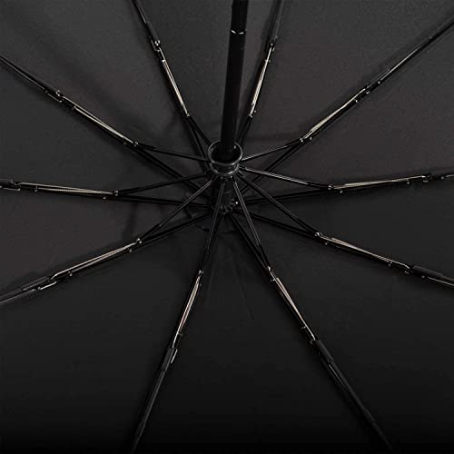 LeRain Auto Windproof Travel Umbrella - Compact, Lightweight, and Portable - Strong Umbrella for Wind and Rain - Non-Rebound umbrella Retracting Device for Men and Women - Upgraded for 2023 (Black)