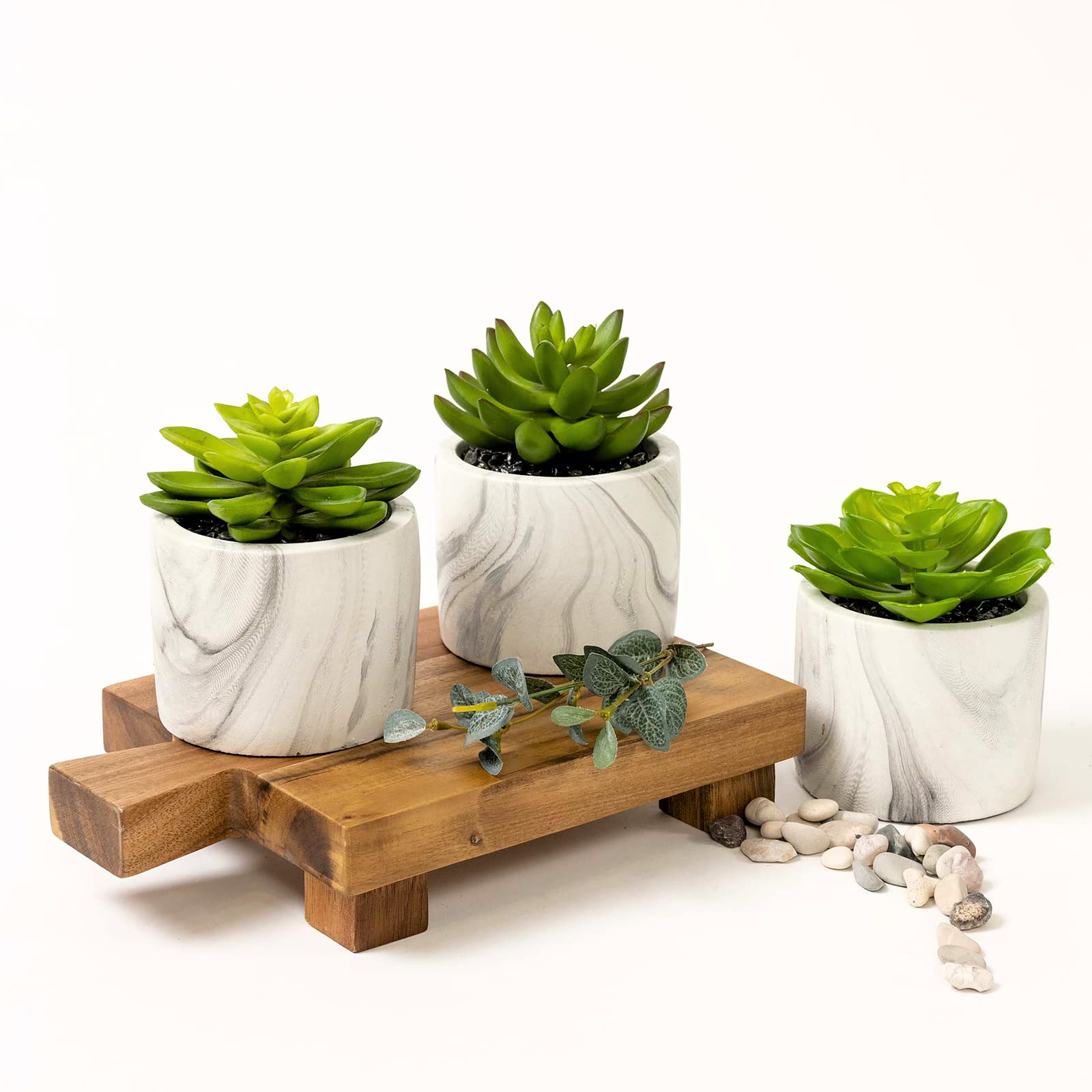 Kurrajong Farmhouse Artificial Succulent Plants in pots | Mini Fake Plant for Shelves | Artificial Plants for Home Decor Indoor | Succulent Plants Artificial | Mini Plant Decor | Small Faux Plants