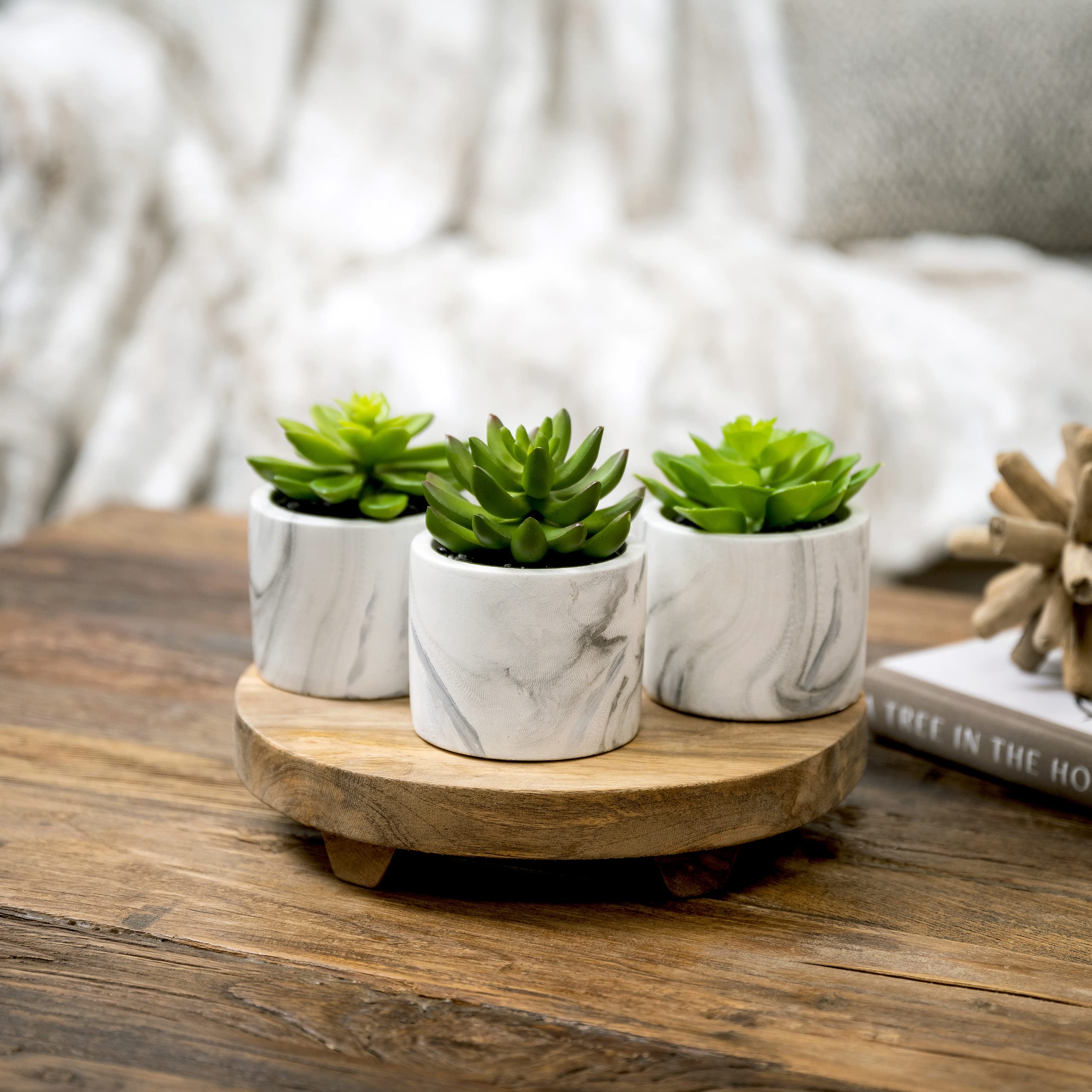 Kurrajong Farmhouse Artificial Succulent Plants in pots | Mini Fake Plant for Shelves | Artificial Plants for Home Decor Indoor | Succulent Plants Artificial | Mini Plant Decor | Small Faux Plants
