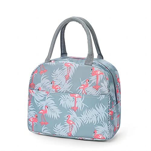 TELLUMO Lunch bag, Insulated Lunch Bag for Women Men Small Lunch Box Container Reusable Leakproof Tote for Office, Work, School, Beach or Travel (Flamingo)