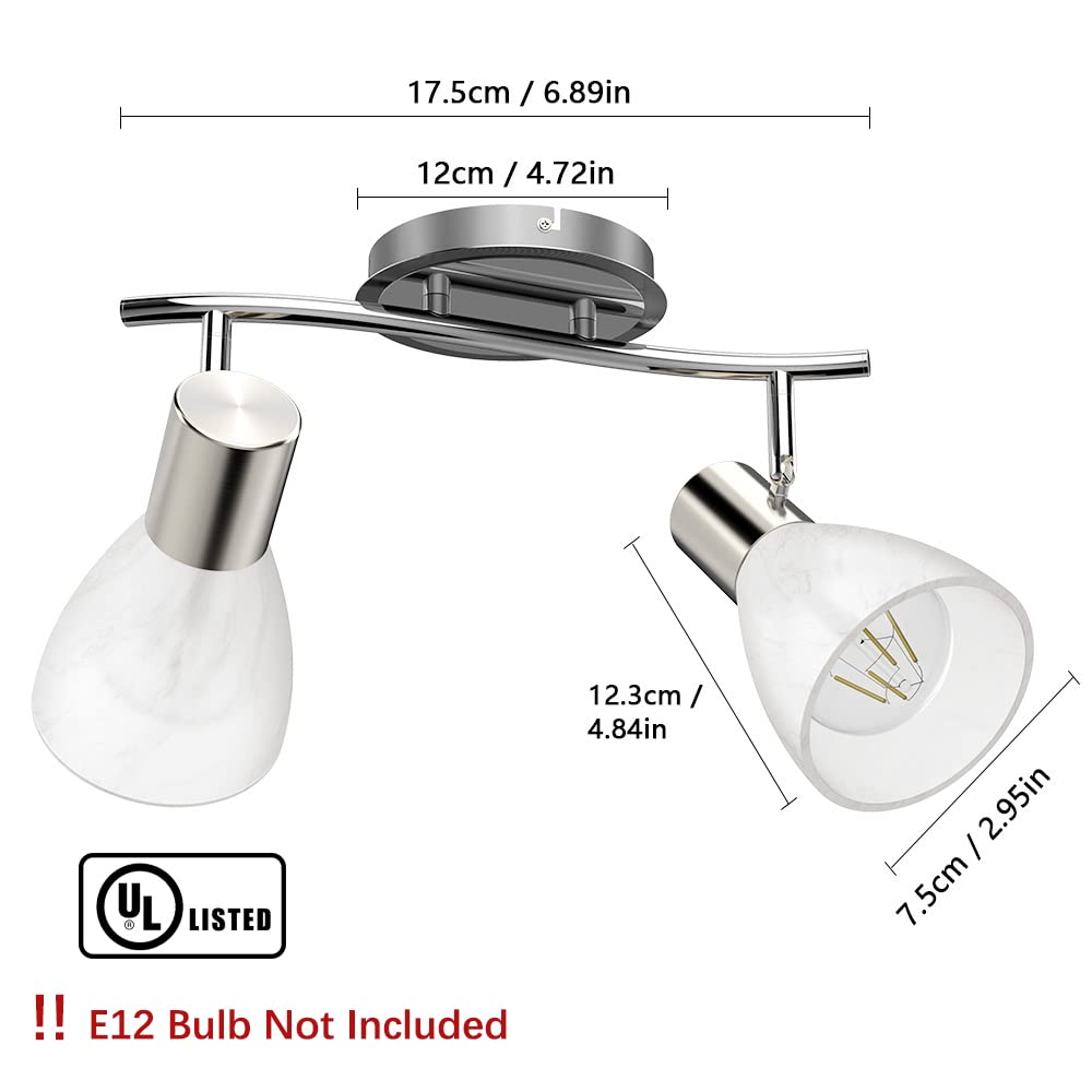 DLLT Industrial Track Lighting, Directional Spot Wall Light with Glass Shade, 2-Light Adjustable Flush Mount Tracking Light for Kitchen, Office, Bedroom, Picture Wall, Hallway, E12 Base