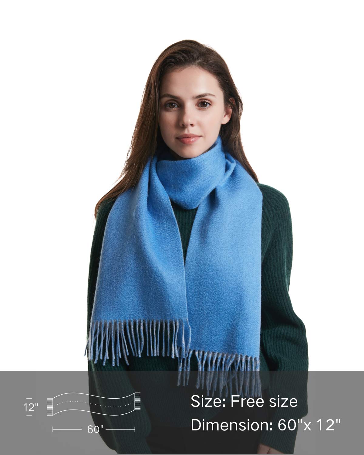 EURKEA 100% Cashmere 2024 Winter Scarf for Women, Fringed Edges, Warm & Soft, Lightweight, Gift Ready, Solid/Plaid/Two-Tone, Blue_Solid, Free Size