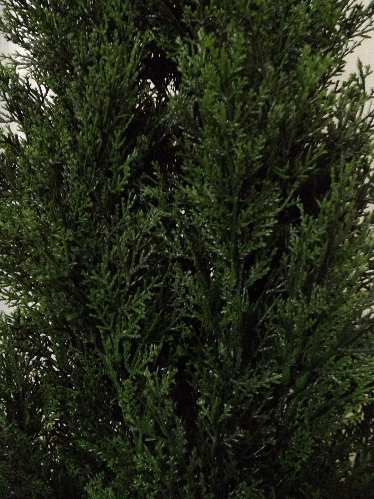 One 4 Foot Outdoor Artificial Cedar Topiary Tree Potted UV Rated Plant by Silk Tree Warehouse Company Inc (4 Foot)