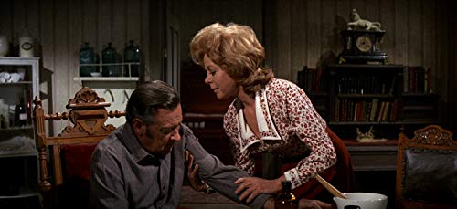Revengers (The Revengers) [Blu-ray] [1972]
