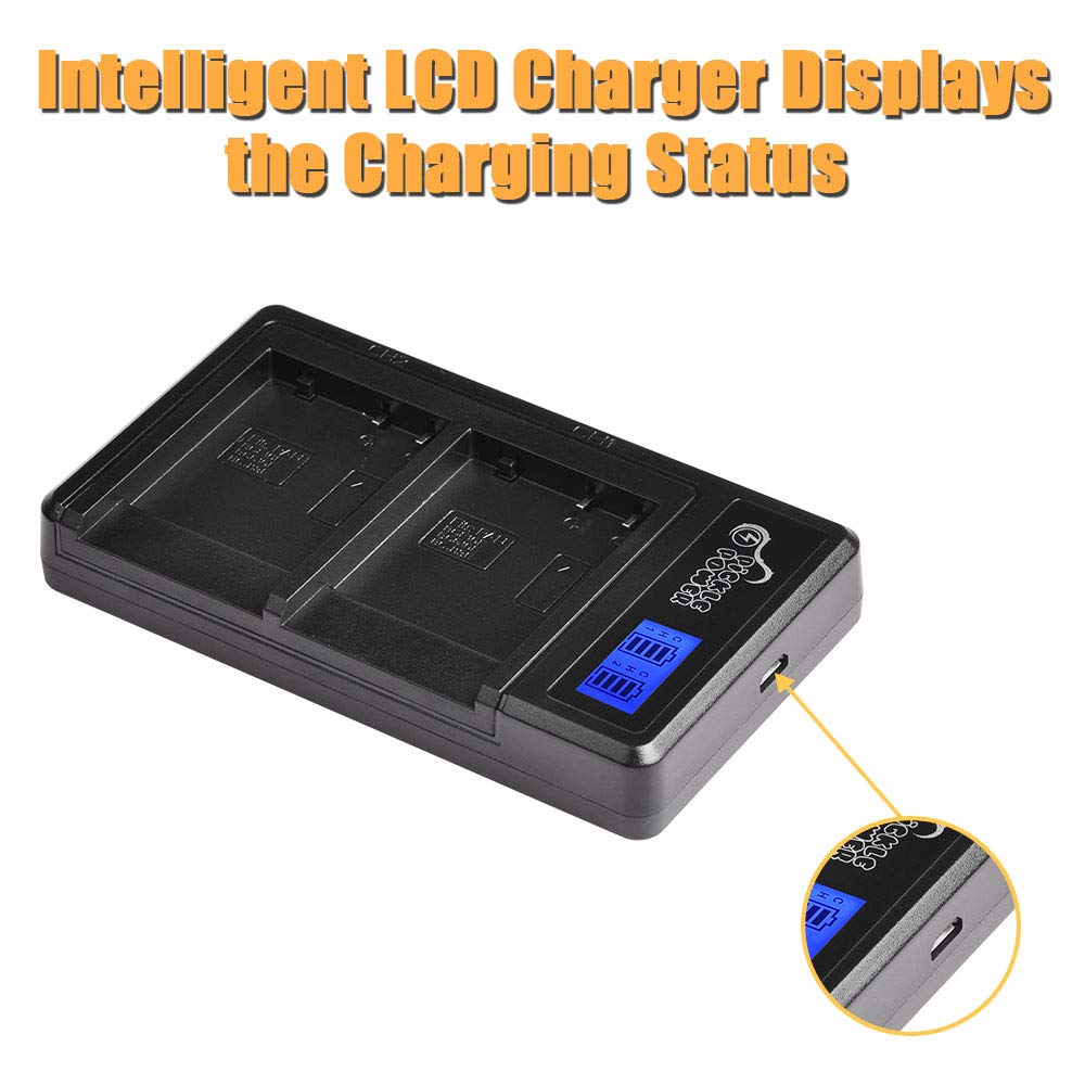 Pickle Power DMW-BCK7 Battery, 2 Pack 1200mAh DMW-BCK7E DMW-BCK7PP Battery and LCD Dual USB Charger Replacement for Panasonic Lumix DMC-S5 DMC-FP5 DMC-FP7 DMC-FH2 DMC-FH5 FH24 FH25 FH27 FS16 FS18