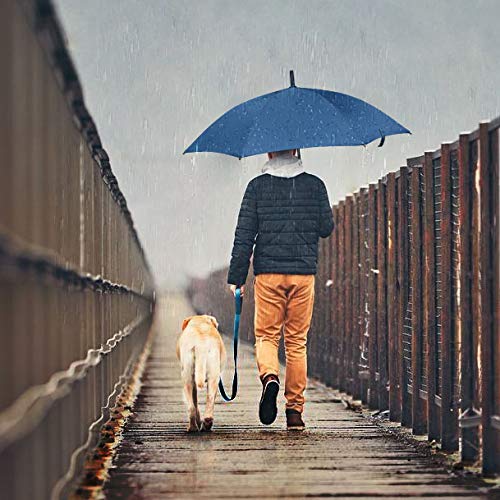 TOPULORS 43 In Long Stick Umbrella for Men and Women, Automatic Open, Double Strong Umbrella Bone for Outdoor Use, Rain & Wind Resistant Umbrellas-Purplish Blue