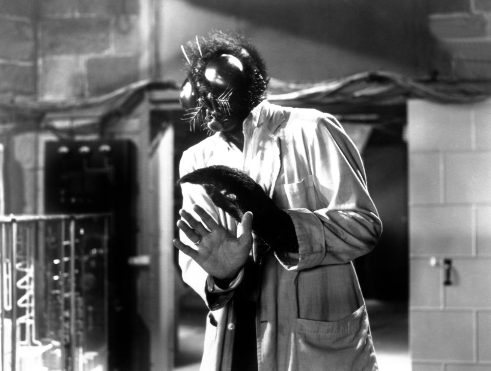 The Fly David Hedison 1958 Tm And Copyright (C) 20Th Century Fox Film Corp All Rights Reserved Courtesy Everett Collection Photo Print (28 x 22)