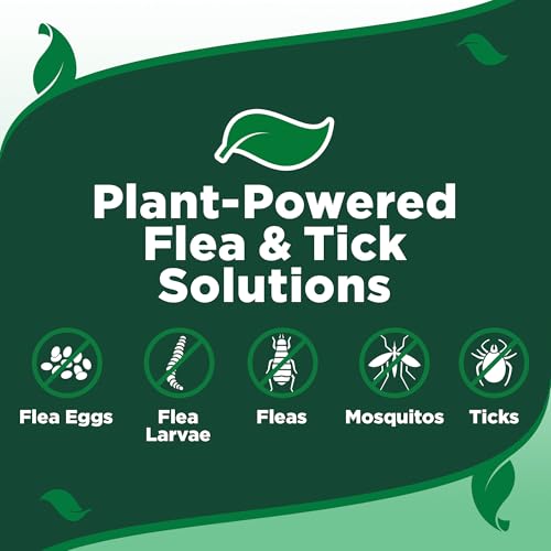 Vet's Best Flea and Tick Home Spray | Flea Treatment for Dogs and Home | Flea Killer with Certified Natural Oils | 96 Ounces Refill