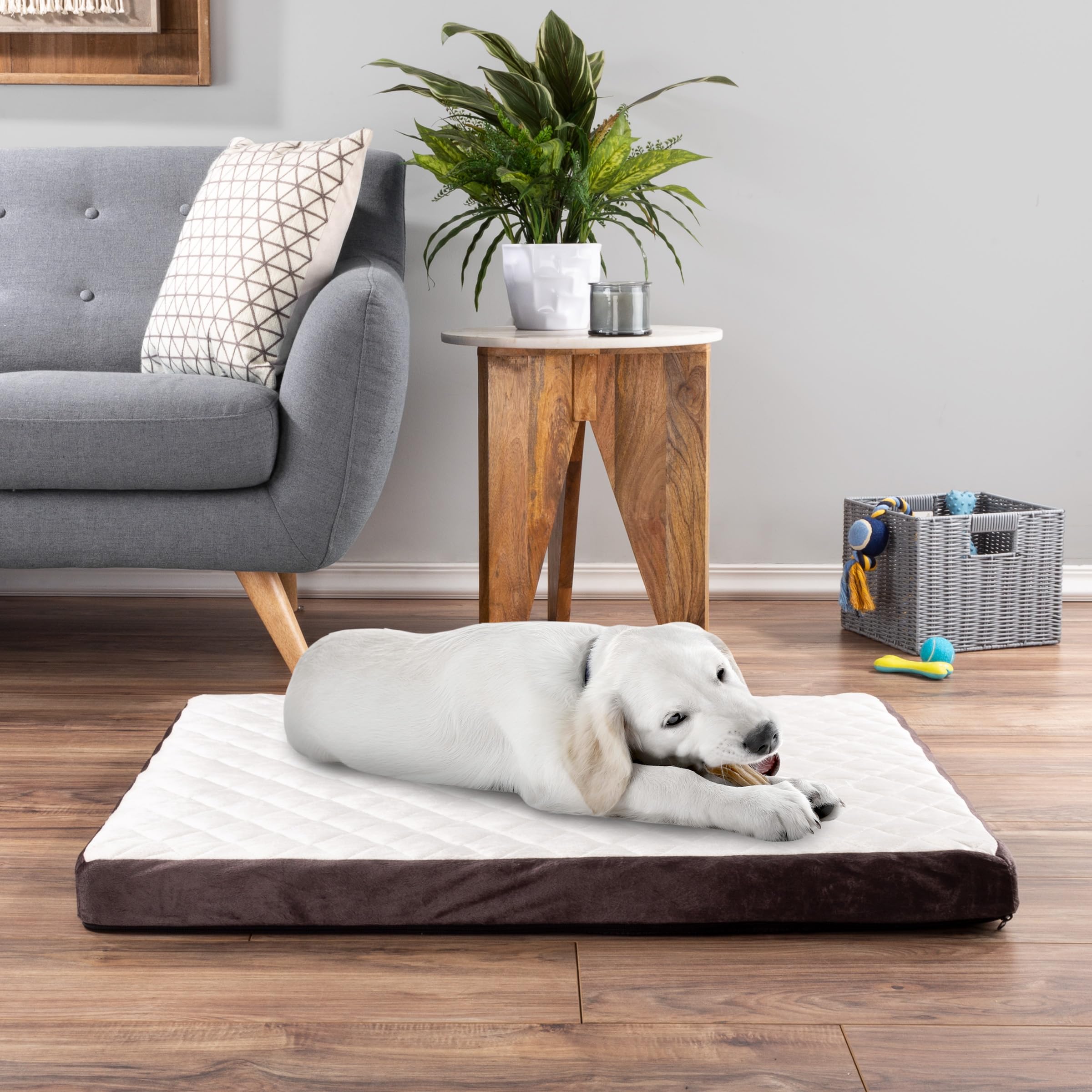 Dog Bed - Charcoal Infused Foam Pet Bed with Plush Cover - Egg-Crate Style Floor Mat with Nonslip Base for Dogs up to 65lbs by PETMAKER (Brown)