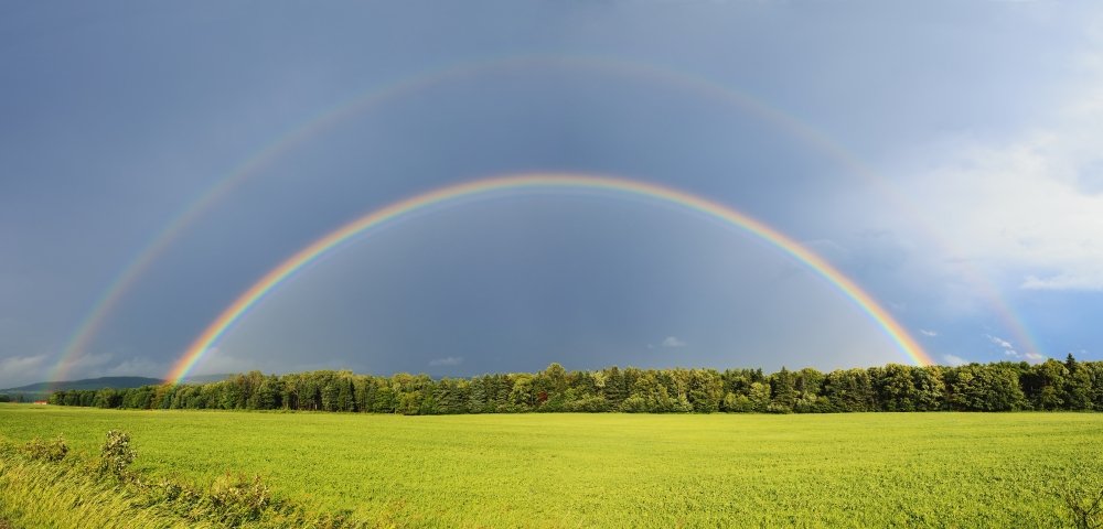 Double rainbow over trees and lush green field Quebec Canada Poster Print (44 x 20)