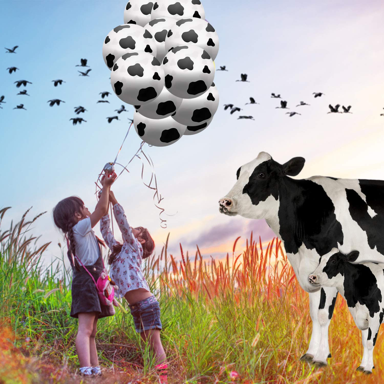 Latex Cow Print Balloons - Birthday Party balloons, Farm Theme, Party Supplies (12)