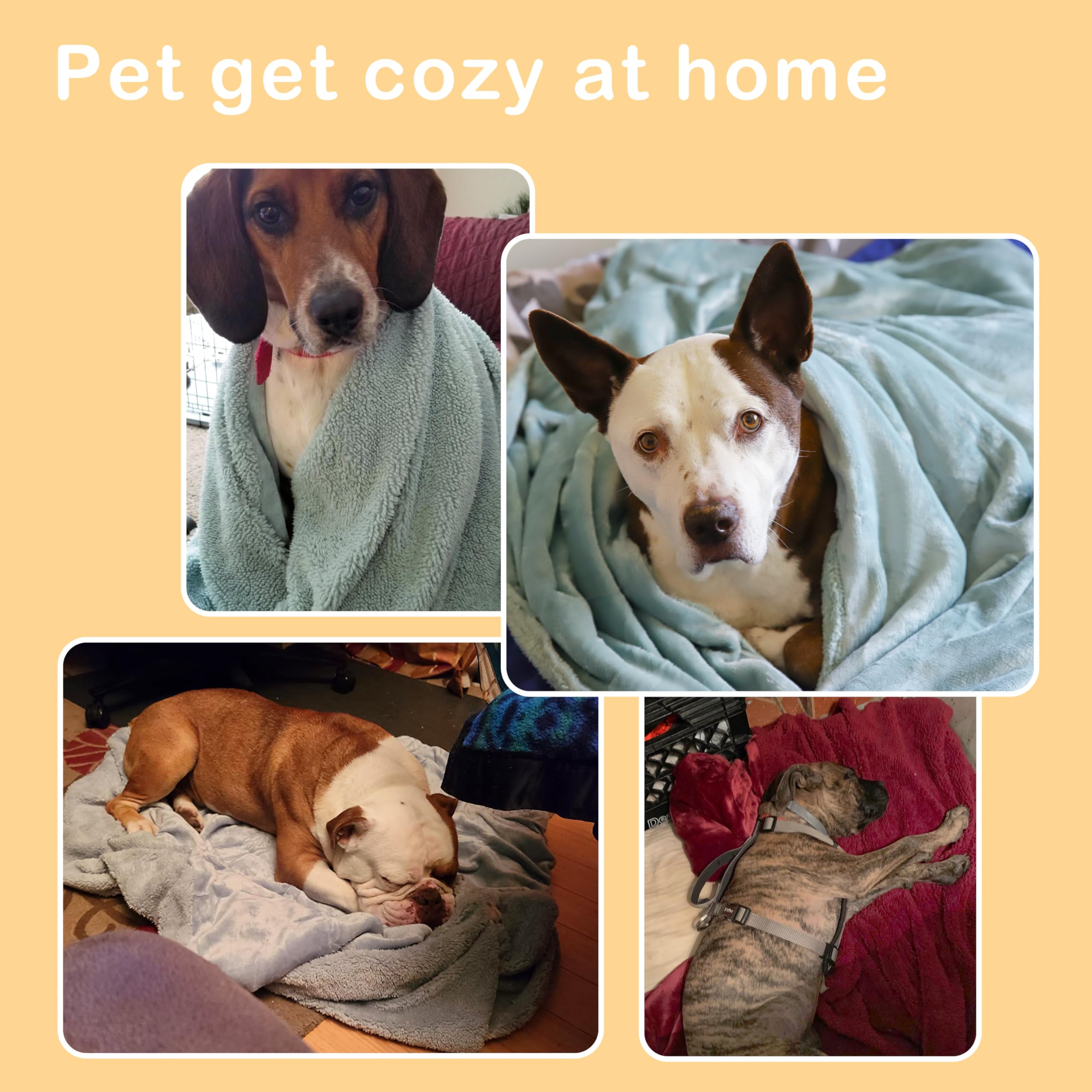 Dog Blankets for Large Dogs, Super Soft Warm Sherpa Fleece Plush Doggie Blankets and Throws for Small Medium Puppy Doggy Pet Cats,50x60 inches