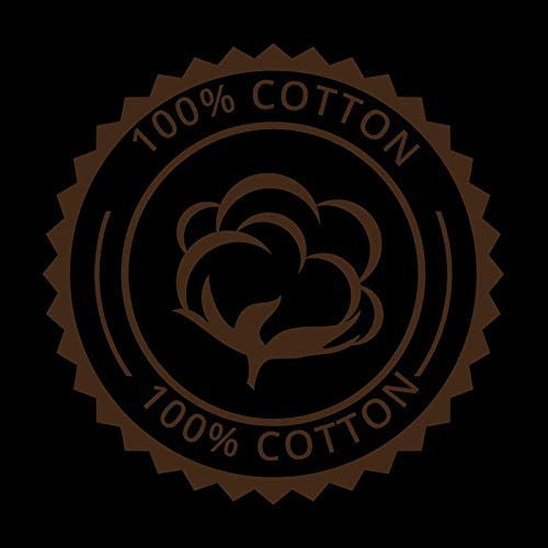 Queen Pillow Shams Set of 2 White 550 Thread Count Super Soft Queen Size Pillow Shams 20"x30" 100% Egyptian Cotton Gorgeous Decorative Bed Pillow Cover (Queen 20"x30", White Solid)