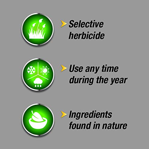 Pulverize Weed Killer for Lawns Concentrate
