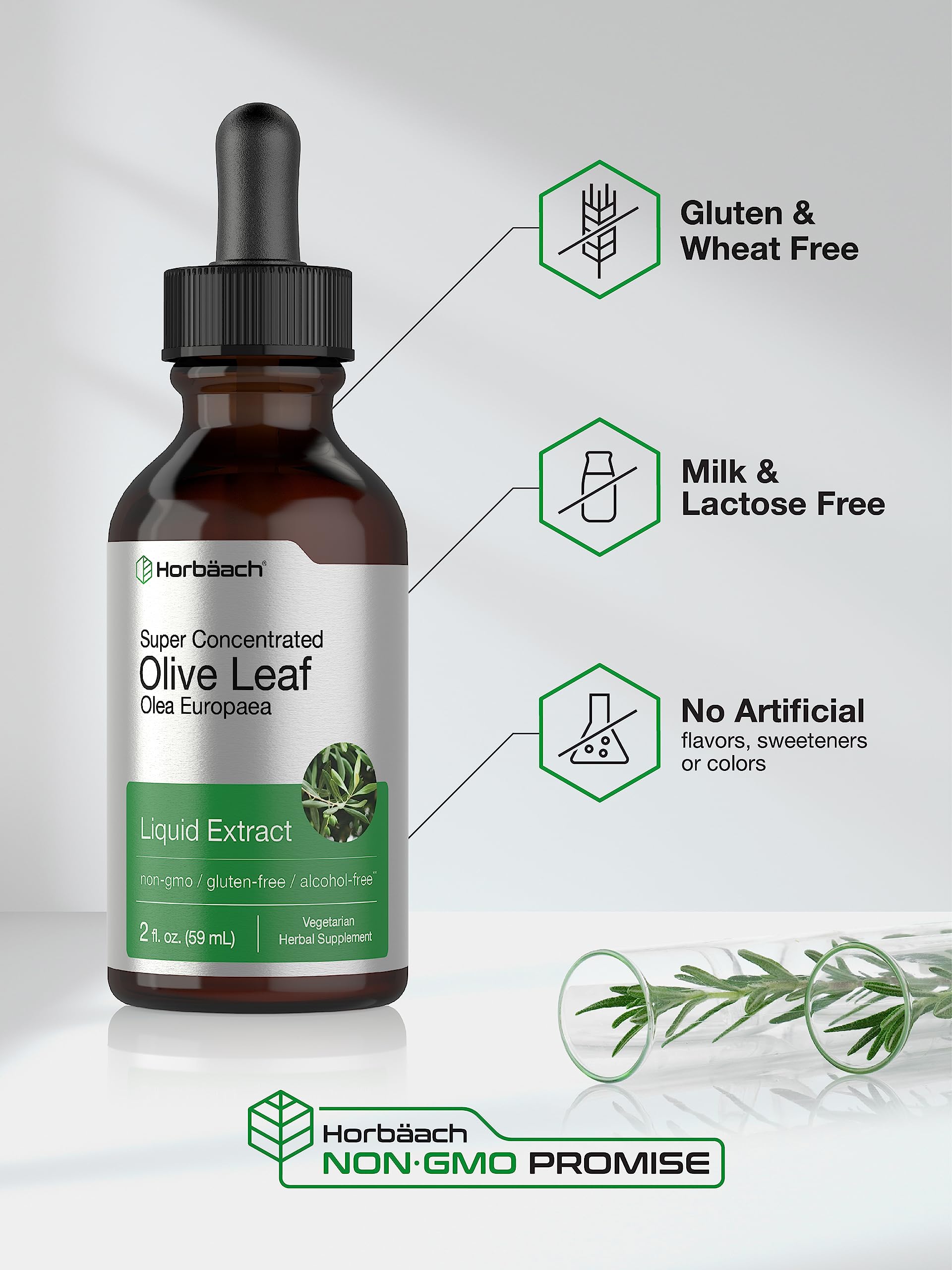 Horbäach Olive Leaf Extract Liquid | 2 fl oz | Vegetarian Drops | Alcohol Free, Non-GMO, Gluten Free Supplement