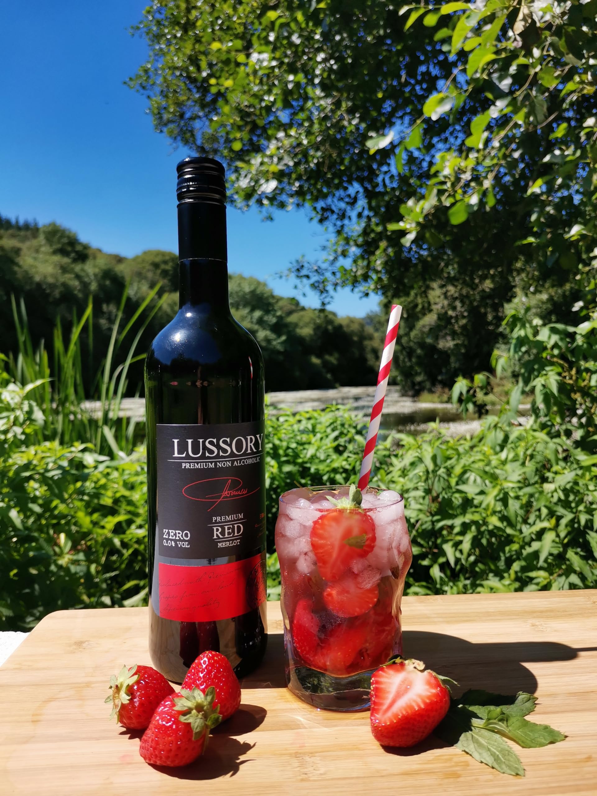 Lussory Premium Merlot Alcohol Removed 0.0% Dealcoholized Red Non Alcoholic Wine From Spain, Low Calories, Low Sugar, Halal Certified (750ml, 1 Bottle)