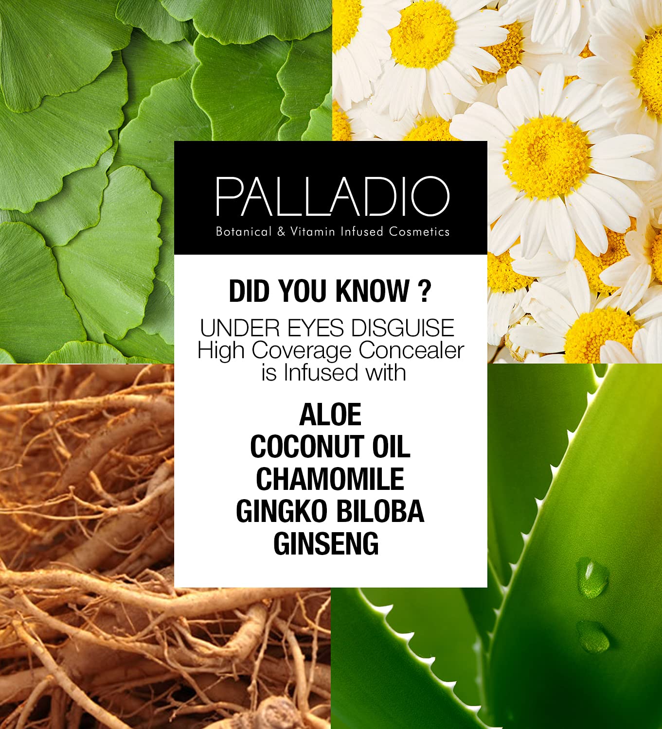 Palladio Full Coverage Concealer, Under Eyes Disguise, Creamy Face and Eye Concealer, Evens Skin Tone, Conceals Blemishes, Dark Circles and Fine Lines, Use with Concealer Brush, Toffee