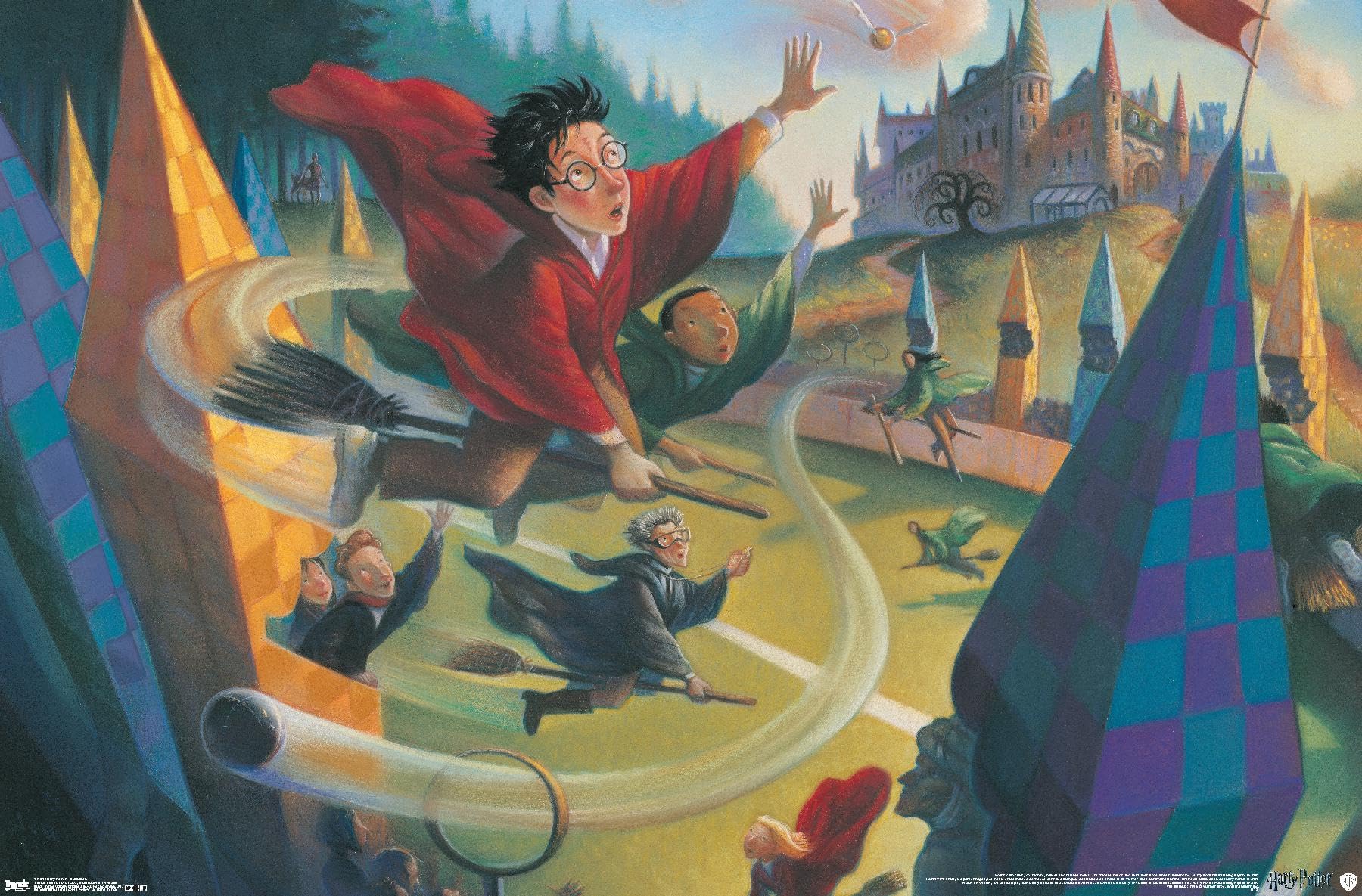 Trends International Harry Potter-Quidditch Premium Wall Poster, 22.375" x 34"