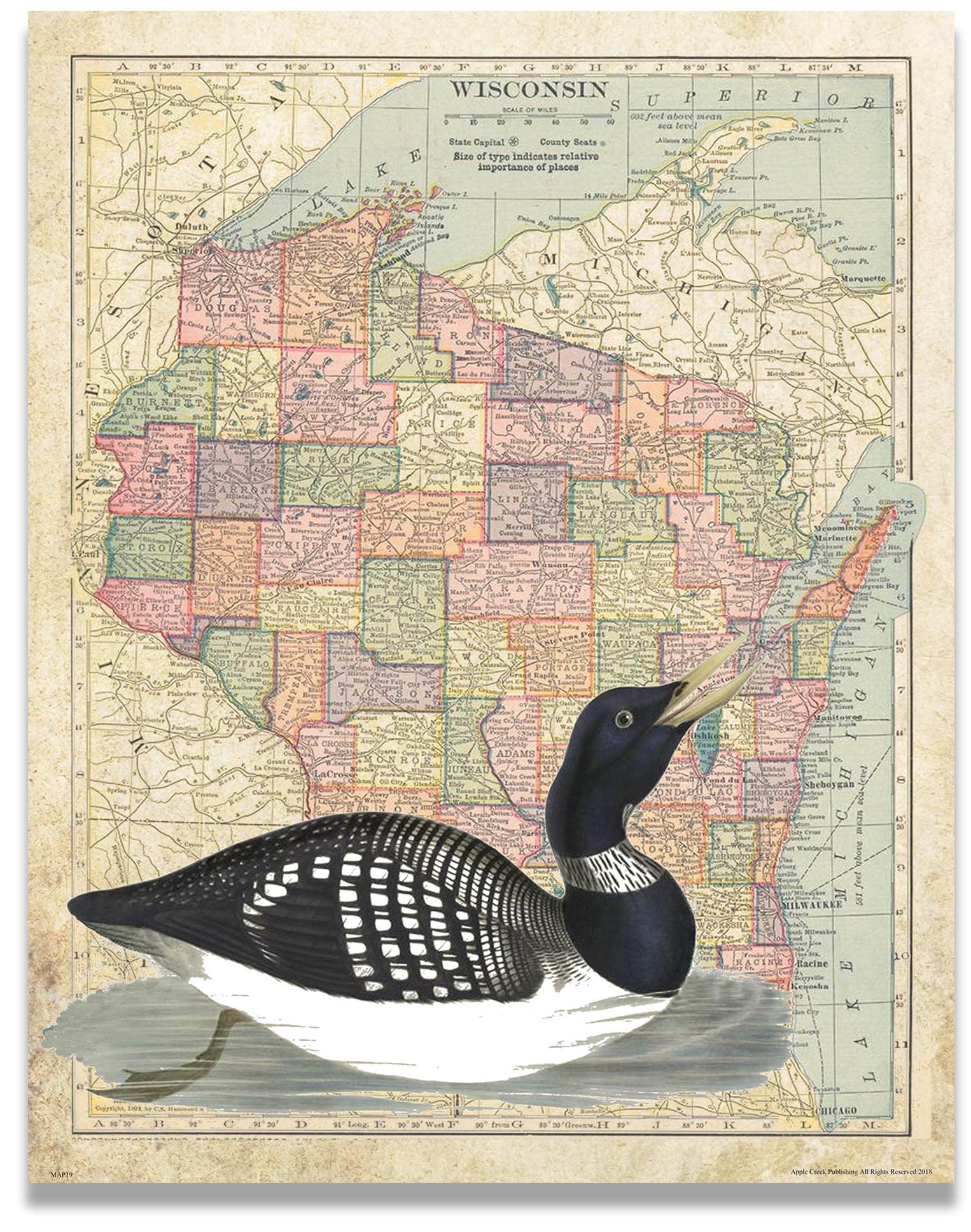 Apple Creek Wisconsin State Map Common Loon Call Decoy Poster Art Print 11x14 Cabin Wall Decor Pictures