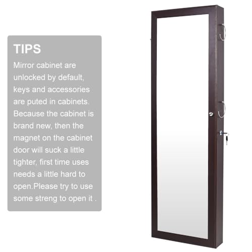 GISSAR Jewelry Mirror Armoire Wall Mount Over The Door, Mirror Jewelry Cabinet Storage Organizer Locking (Brown)