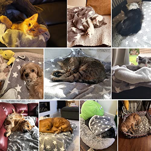 LeerKing Dog Blanket Double Layer 30 x 40 Inches, Micro Fleece Plush Warm Puppy Blanket Bed Cover Protection Pet Cat Kitten Flannel Throw Blanket