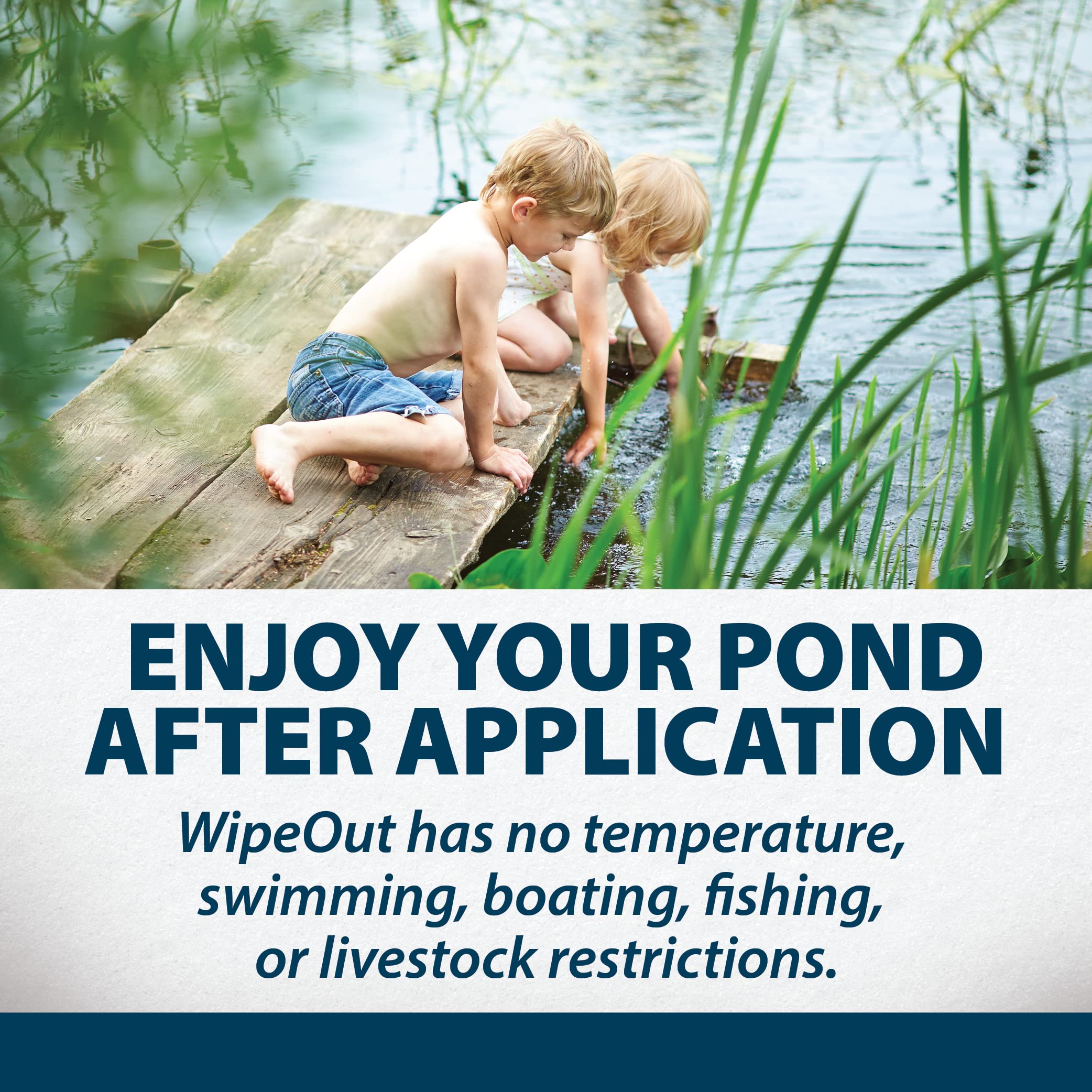 Airmax Wipeout Pond Weed Defense, Herbicide & Aquatic Weed Control, Controls Duckweed & Other Unwanted Submerged & Floating Vegetation, Easy-to-Use & Long Lasting, All-Season Treatment - 32 Ounce