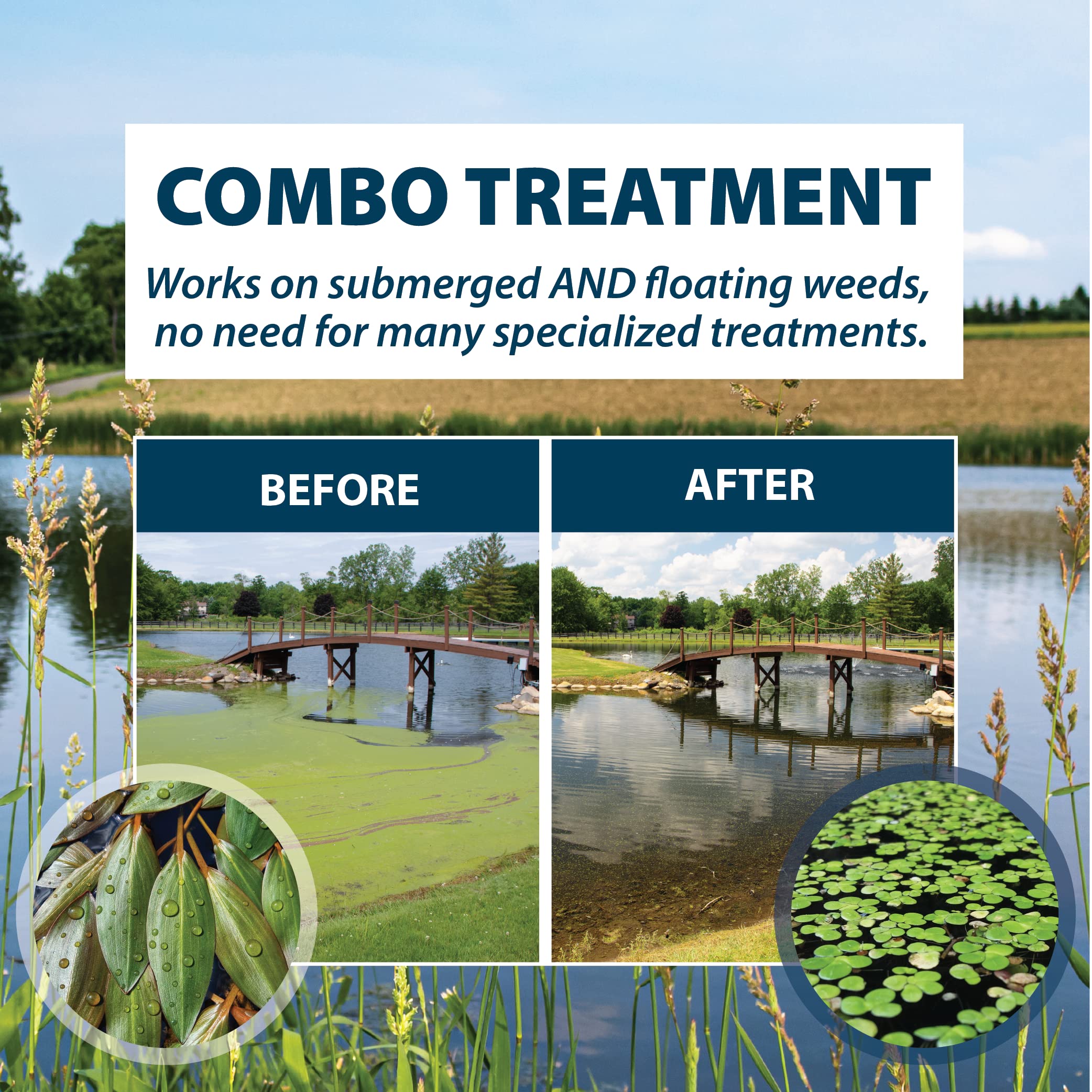 Airmax Wipeout Pond Weed Defense, Herbicide & Aquatic Weed Control, Controls Duckweed & Other Unwanted Submerged & Floating Vegetation, Easy-to-Use & Long Lasting, All-Season Treatment - 32 Ounce