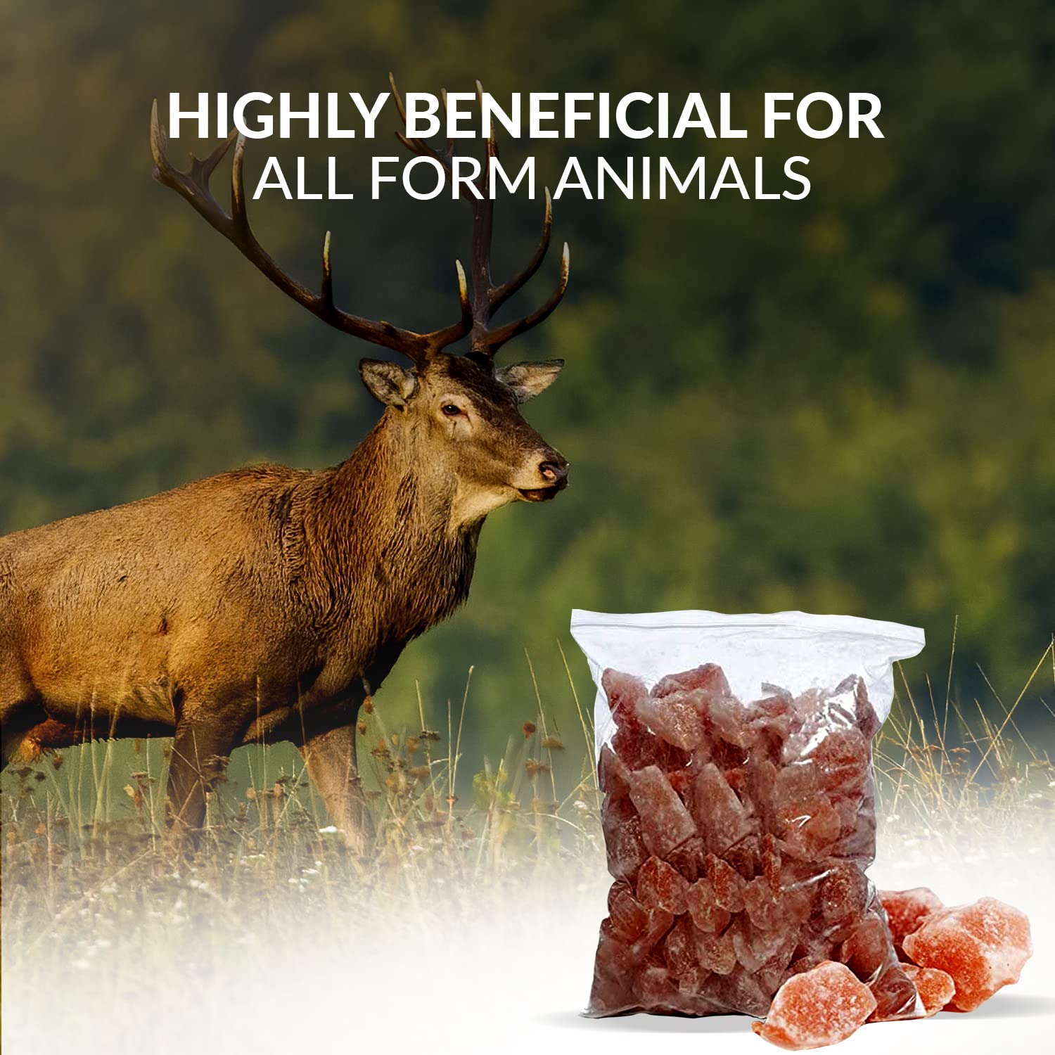 Himalayan Nature 100% Natural Solid Mineral Rock Salt - Salt Mineral Chunks animals