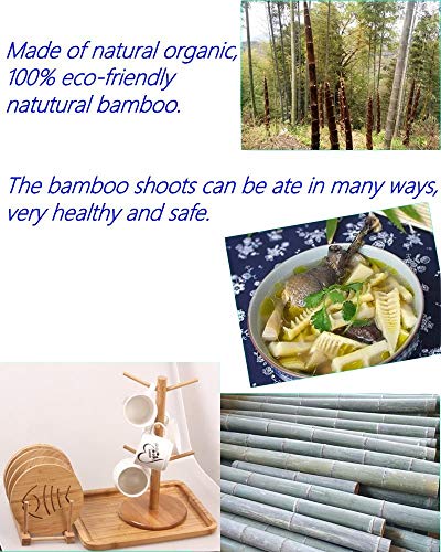 BVLJOY Mug Holder Tree, Coffee Cup Holder, Bamboo Mug Tree Stand, Coffee Cup Rack Dryer with 6 Hooks