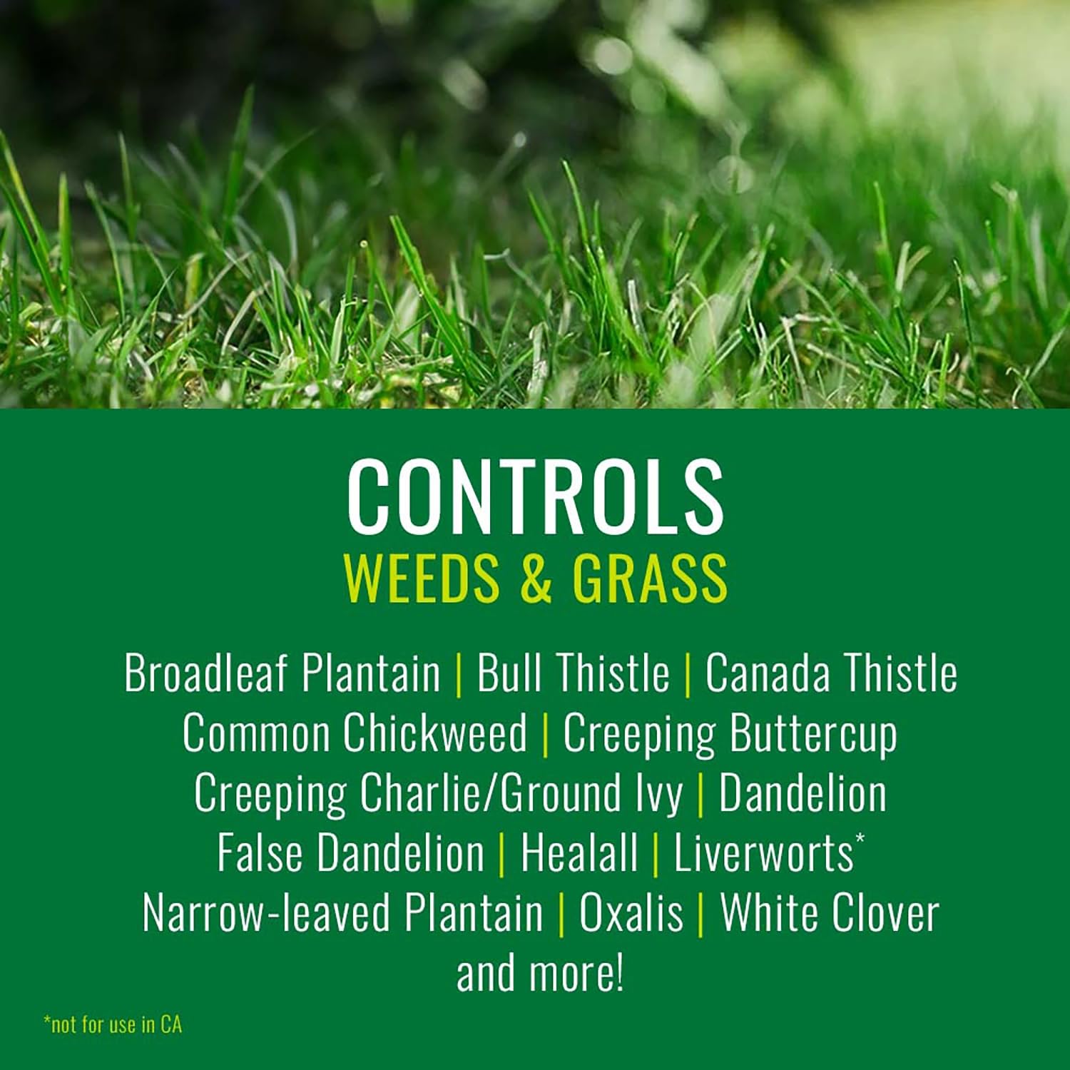 Natria Lawn Weed and Disease Control, Concentrate, 24 oz