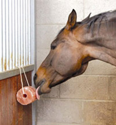 Himalayan Salt Licks Hanging 5 lb w/Rope for Horse, Equine, Cattle, Livestock, Llama, Goat, and/or Sheep