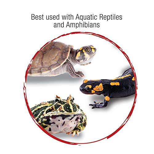 Zilla Aquactic Pet Reptile Internal Water Filter, For Up To 40 Gallons of Water