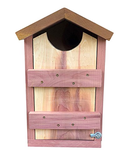 Vundahboah Amish Goods Screech Owl House Box for Nesting- Handmade in USA- Solid Cedar Wood Saw-Whet/Kestrel/Screech Owl/Flicker- Cedar Shavings Included