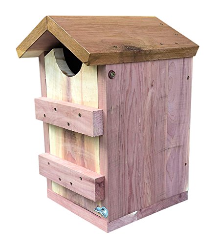 Vundahboah Amish Goods Screech Owl House Box for Nesting- Handmade in USA- Solid Cedar Wood Saw-Whet/Kestrel/Screech Owl/Flicker- Cedar Shavings Included