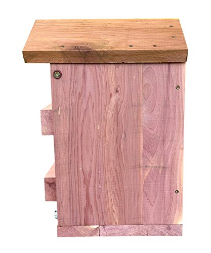Vundahboah Amish Goods Screech Owl House Box for Nesting- Handmade in USA- Solid Cedar Wood Saw-Whet/Kestrel/Screech Owl/Flicker- Cedar Shavings Included