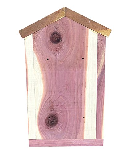 Vundahboah Amish Goods Screech Owl House Box for Nesting- Handmade in USA- Solid Cedar Wood Saw-Whet/Kestrel/Screech Owl/Flicker- Cedar Shavings Included