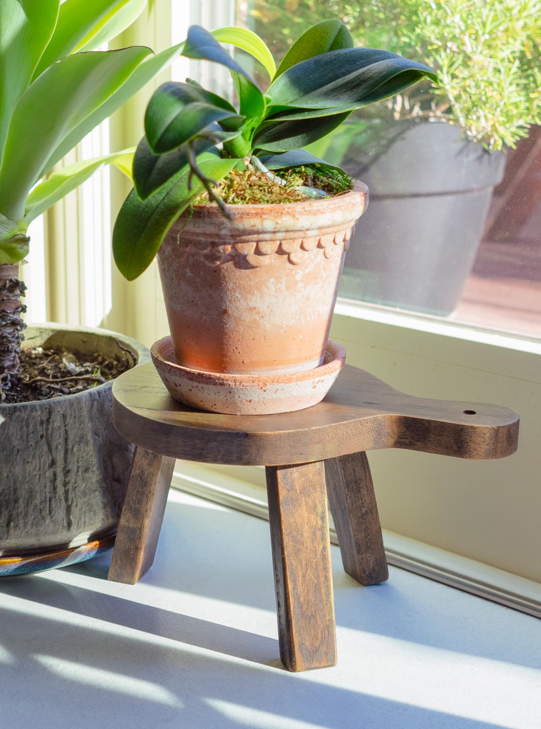 Red Co. 6 inch Tall Mini Round Boho Chic Tabletop Sustainable Rubberwood Stool Display Stand, Casual Country Potted Plant Holder, Brown