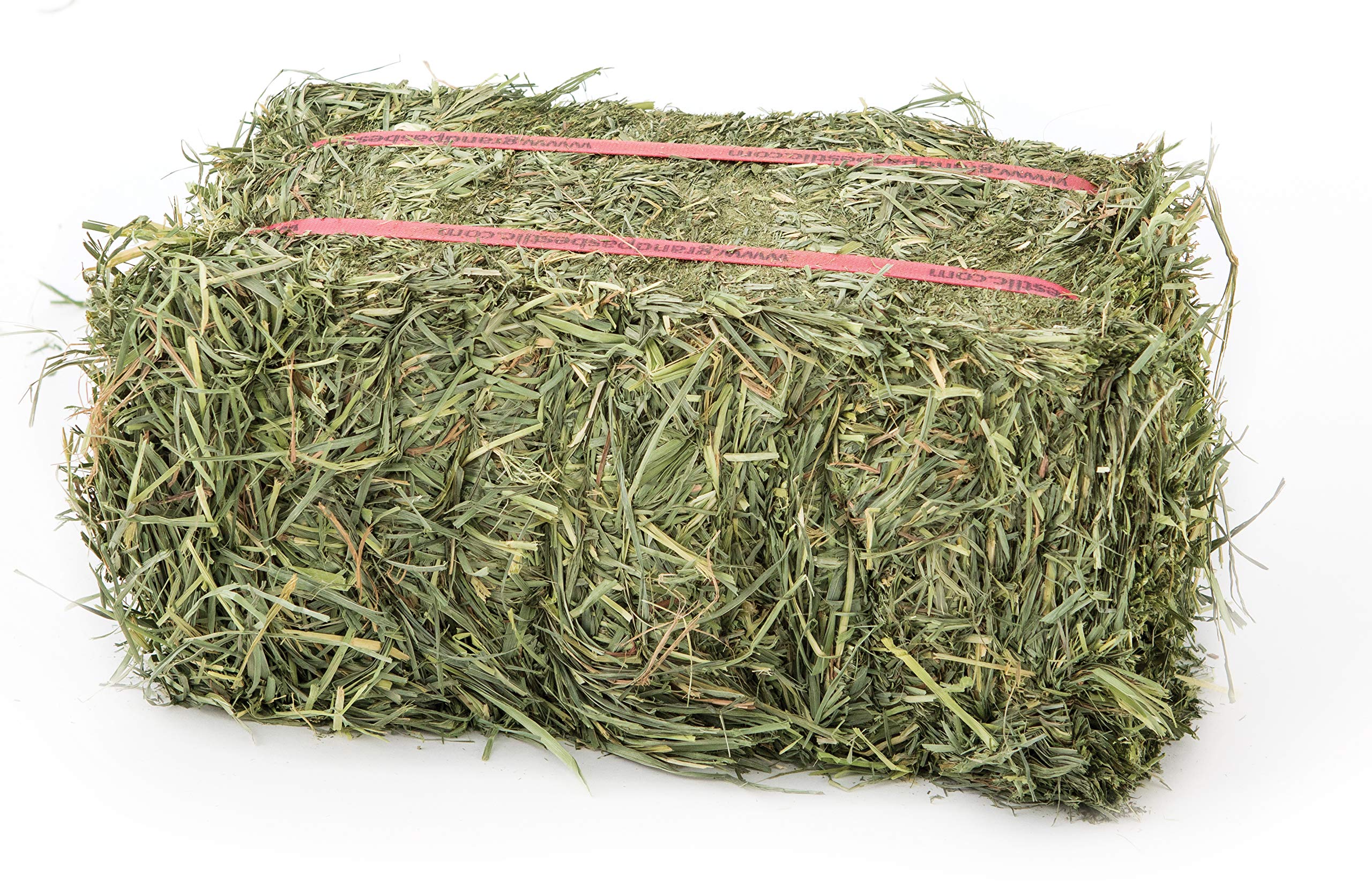 Grandpa's Best Orchard Grass Bale, 40 oz