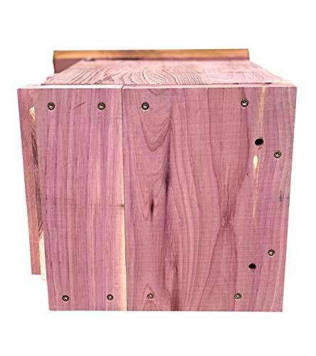 Vundahboah Amish Goods Screech Owl House Box for Nesting- Handmade in USA- Solid Cedar Wood Saw-Whet/Kestrel/Screech Owl/Flicker- Cedar Shavings Included