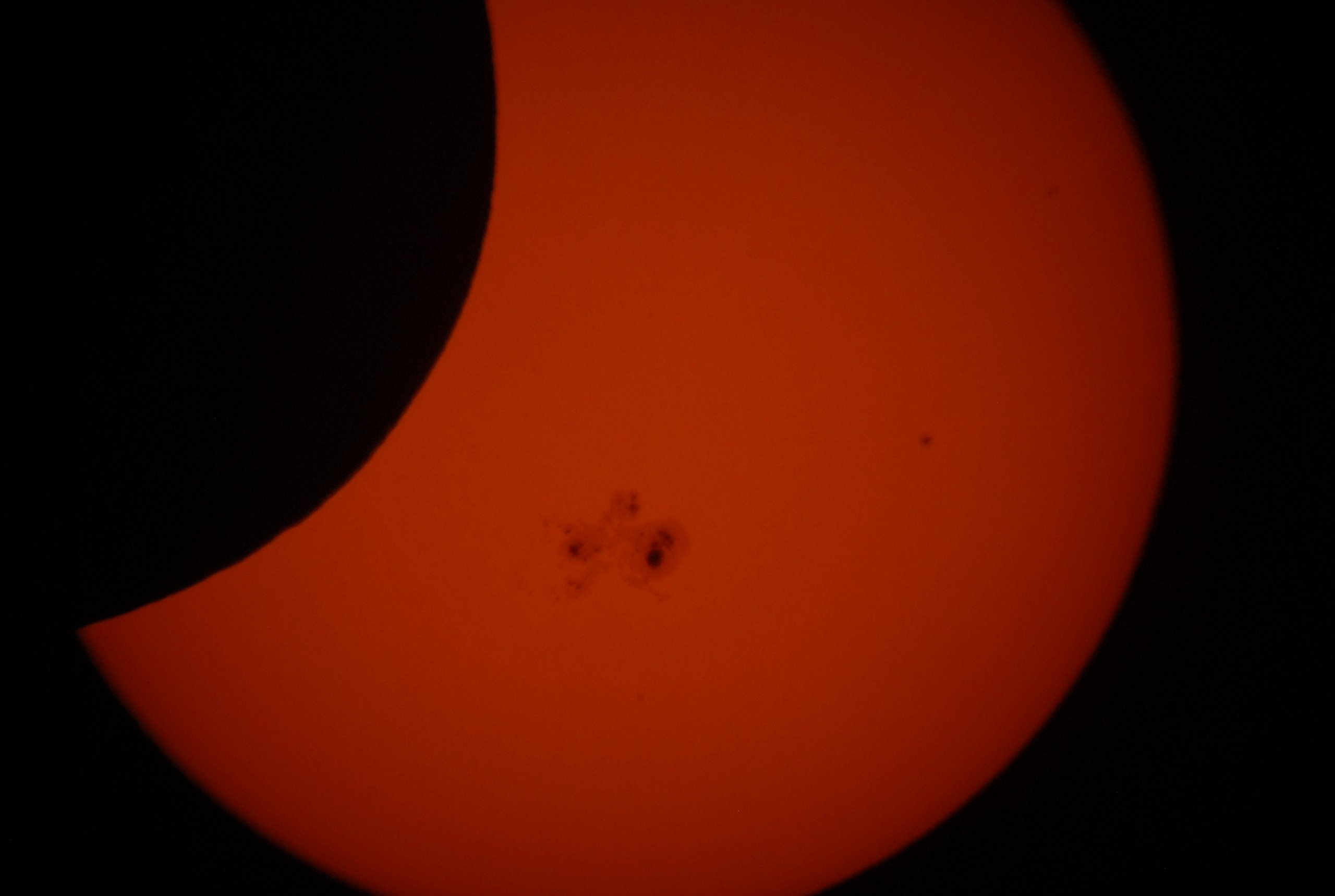 Spectrum Telescope (ST950G1) GLASS Solar Filter Fits: Your O.D. Measurement: 9 1/8” (232mm) to 9 3/8” (238mm) Celestron: C8 / Newt.; Newstar 8” Dobsonians; Orion: SkyQuest XT8, Atlas 8, SkyView Pro 8,